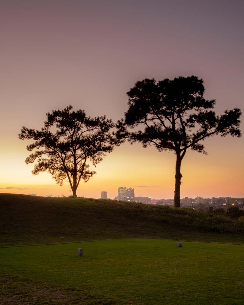 The Highland Park Golf Experience - Highland Park Golf Course